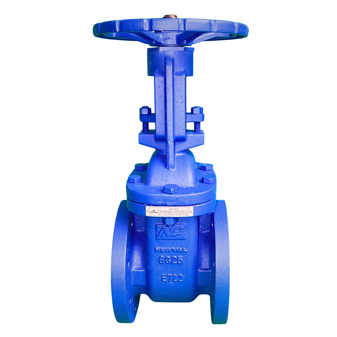 NEWVAL API600 Gate Valve