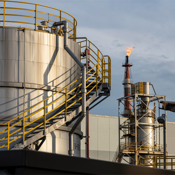 Palm Oil Mills & Oleo-Chemical Plants
