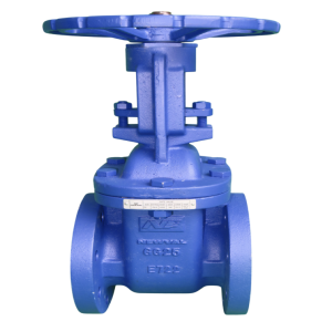 Gate Valves, Process Valves